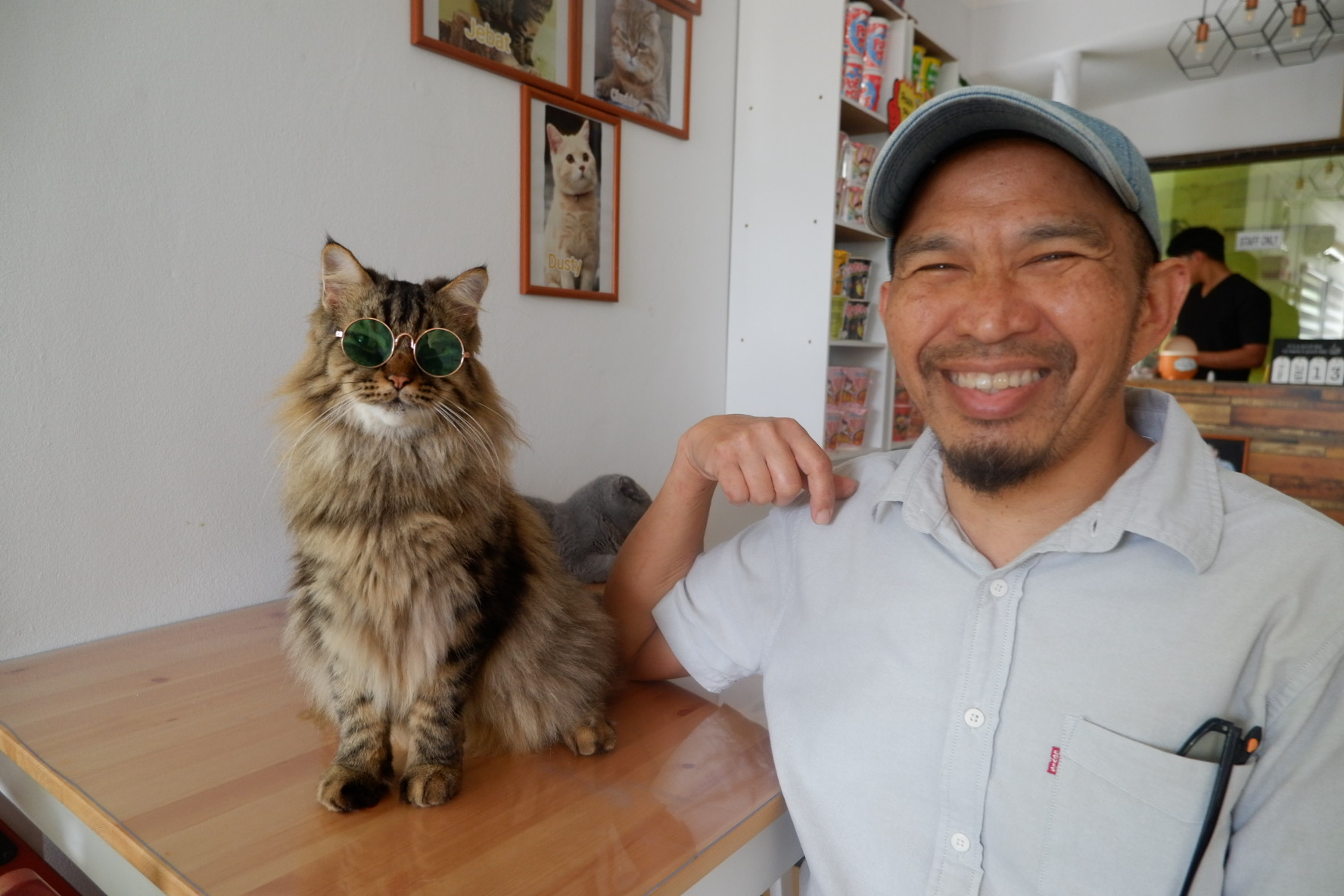 Uncle Cat Cafe: Creating a cosy space for cats and chats - The Bruneian