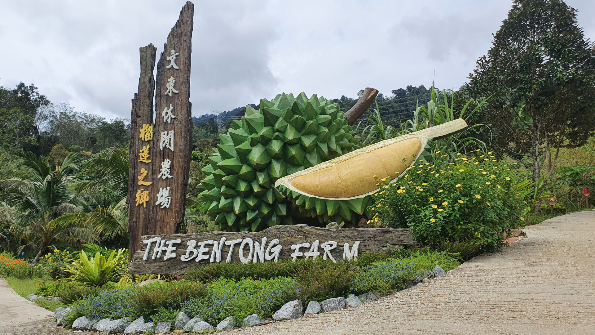 The Bentong Farm: A place of breathtaking scenery and loveable animals ...