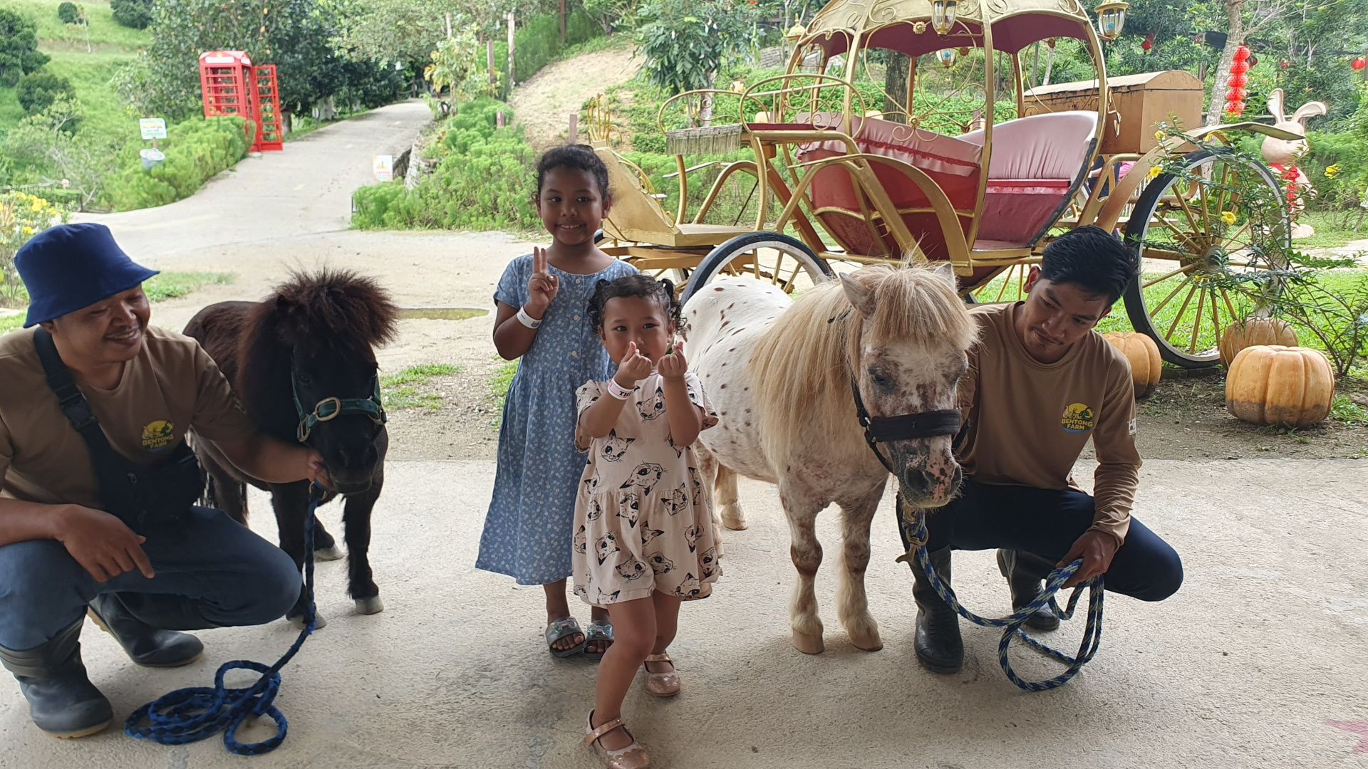 The Bentong Farm: A place of breathtaking scenery and loveable animals ...