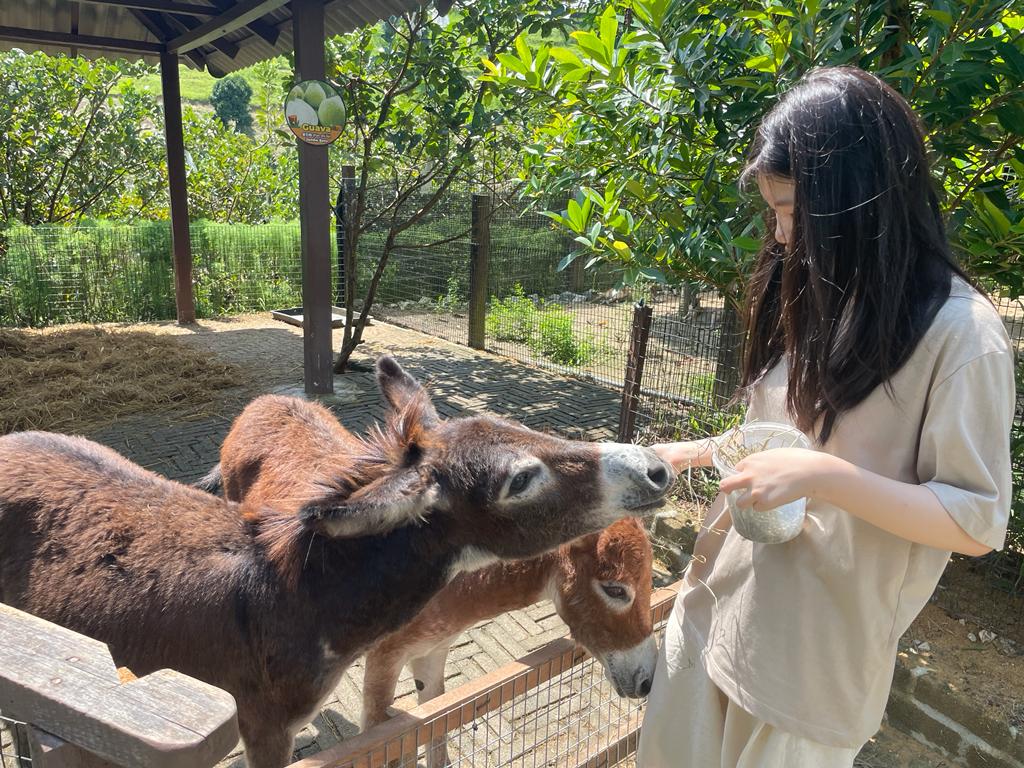The Bentong Farm: A place of breathtaking scenery and loveable animals ...